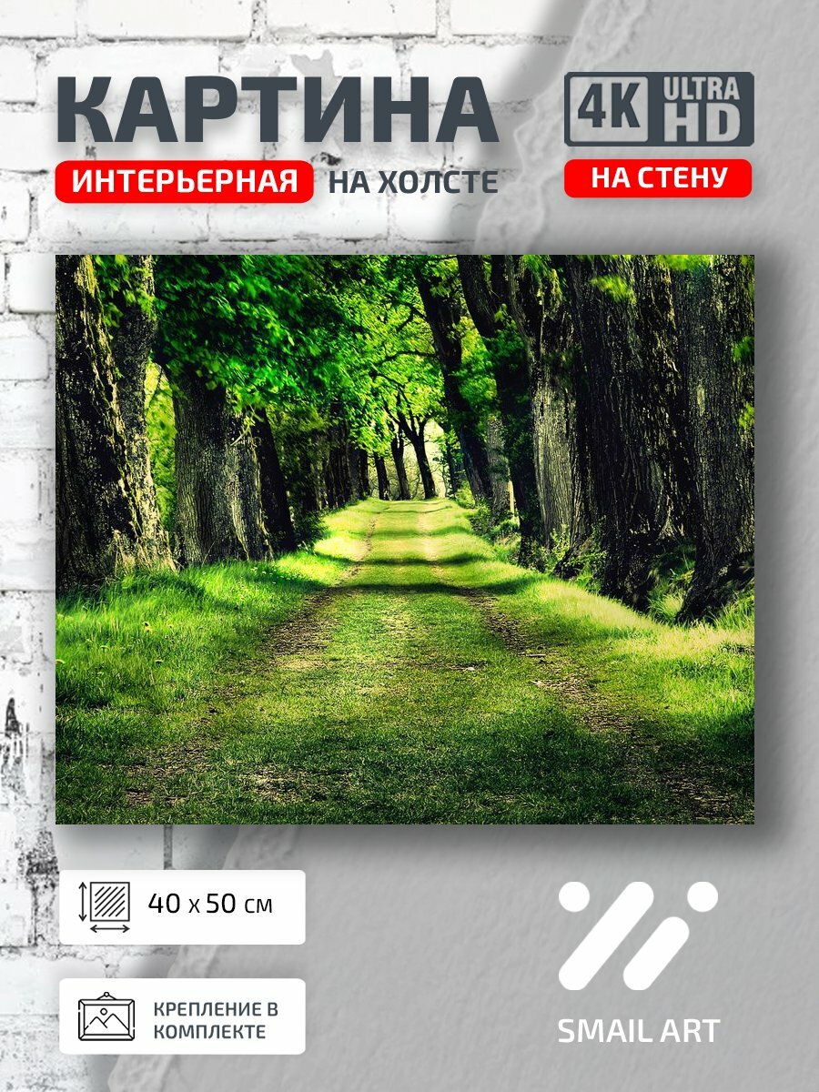 Картина на холсте интерьерная 40 на 50 на стену Лес Landscape для гостиной пейзаж интерьер