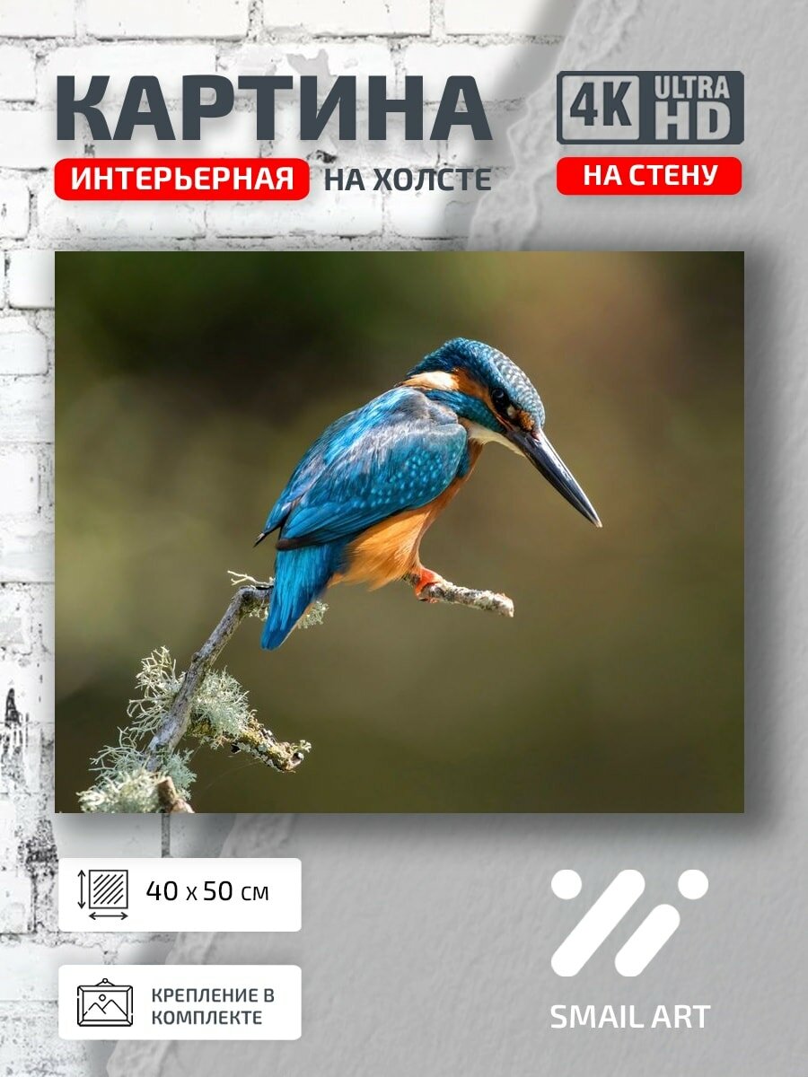 Картина на холсте интерьерная 40 на 50 на стену Птицы Птица для студии атмосфера