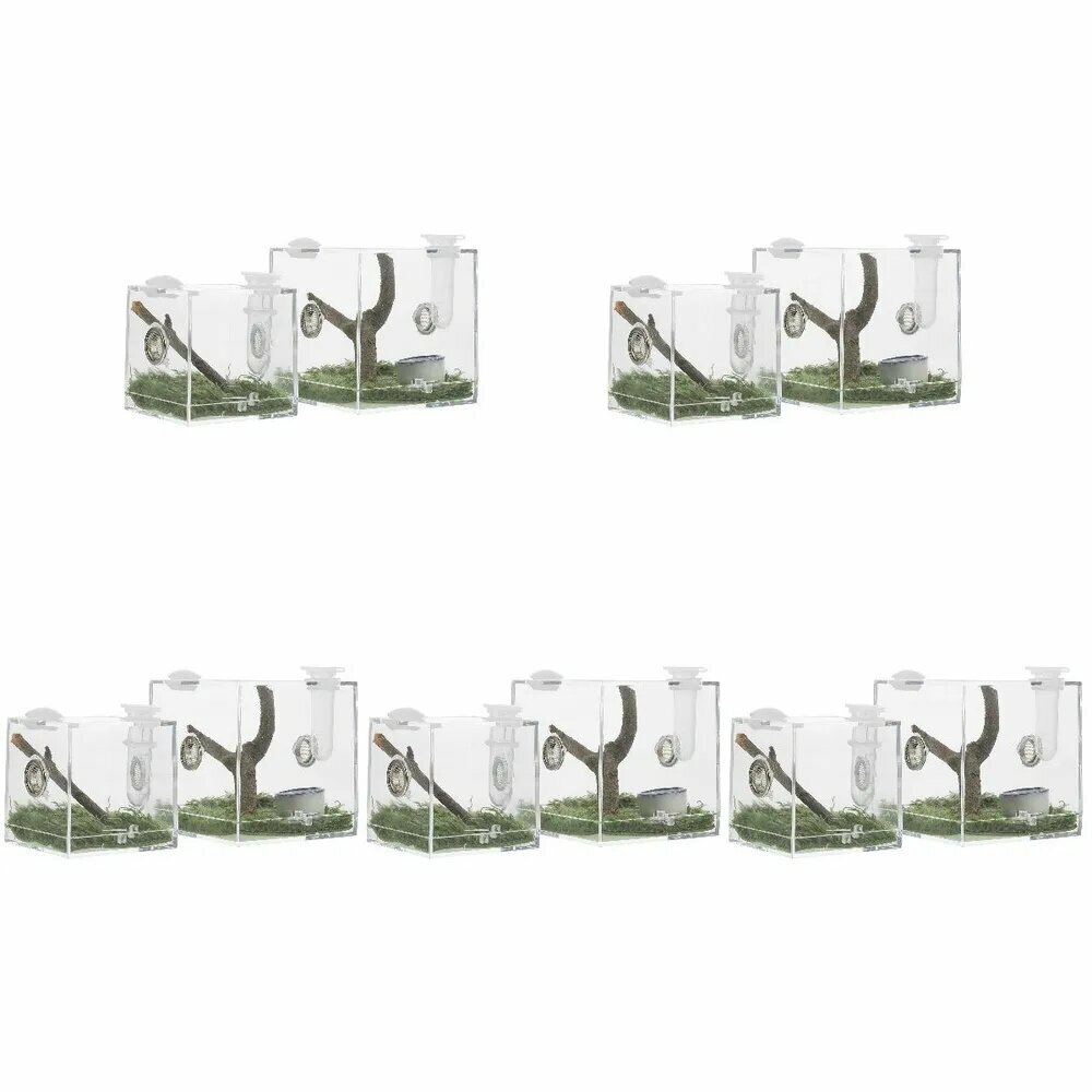 Акриловый террариум для пауков прыгуний, прозрачный, набор из 10 штук