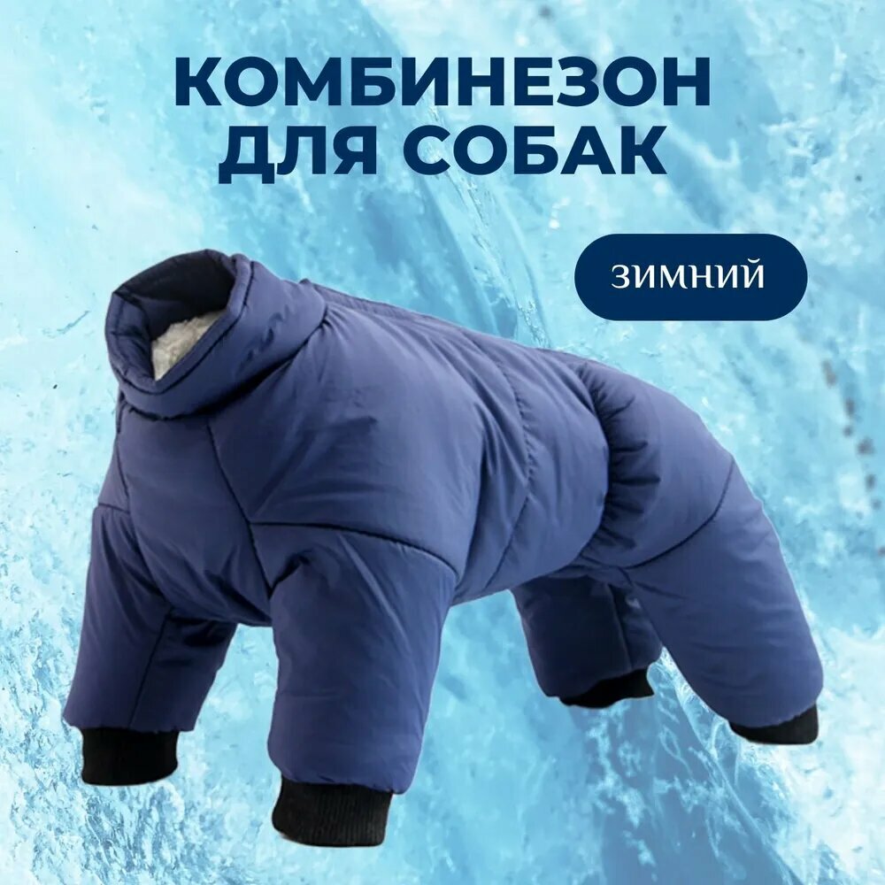 Одежда для животных