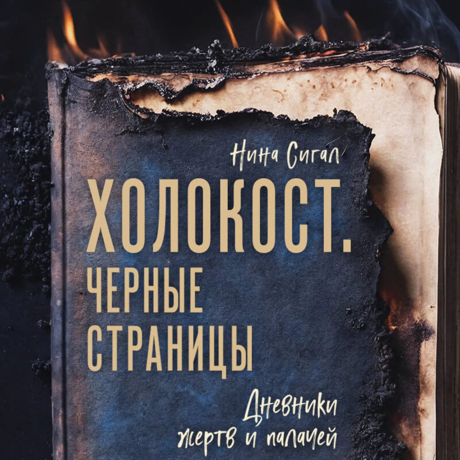 Холокост. Черные страницы. Дневники жертв и палачей [Аудиокнига]