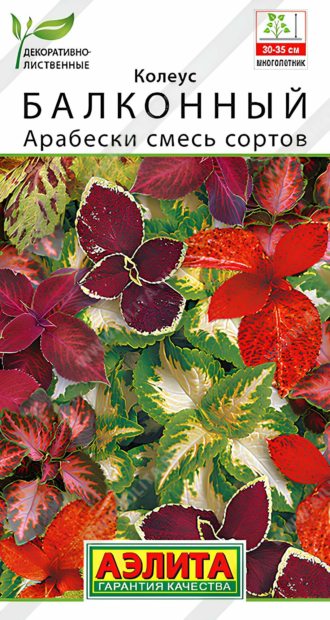 Семена Колеус балконный Арабески смесь (5 семян), Агрофирма Аэлита