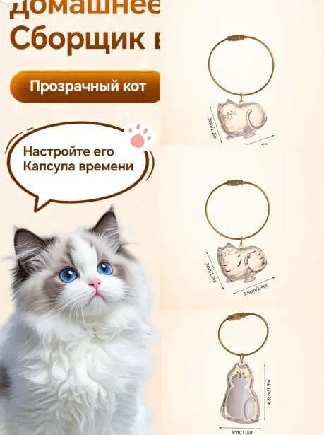 Брелок-капсула для кошачьей шерсти, коллекционный аксессуар для любителей кошек,3 шт