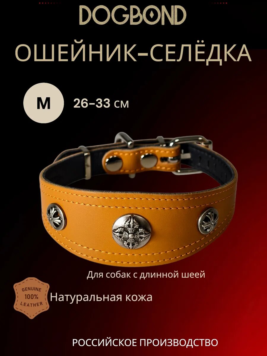 Dogbond ошейник-селедка для малых и средних пород