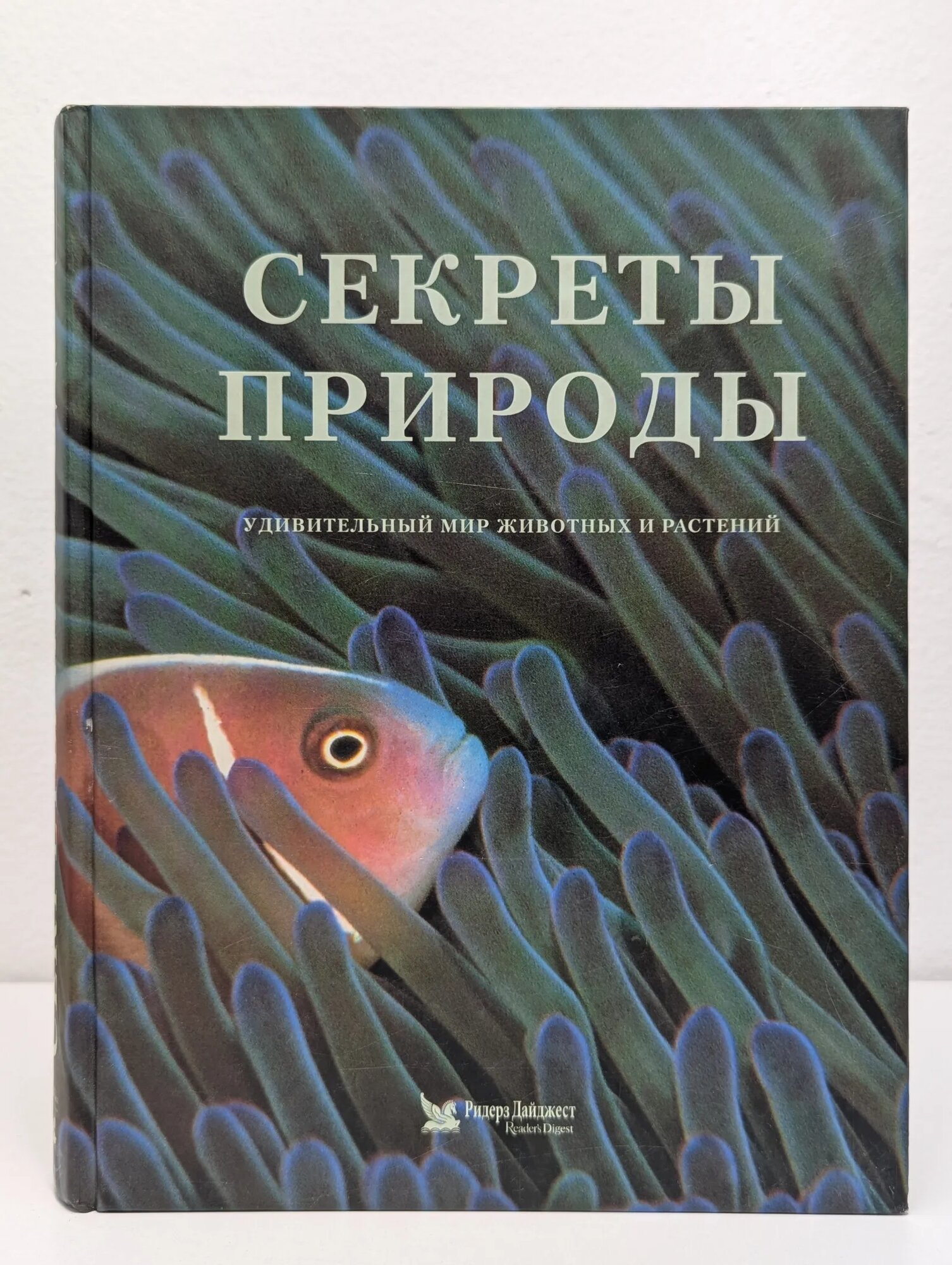 Секреты природы. Удивительный мир животных и растений Ярошенко Натела (ред.) 1999