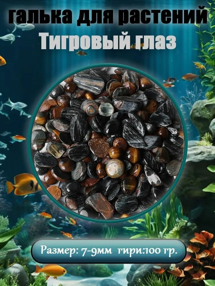 Тигровый глаз Грунт для аквариума и растений , кактуса и суккулентов , Каспийская галька 7-9 мм, 100 гр.