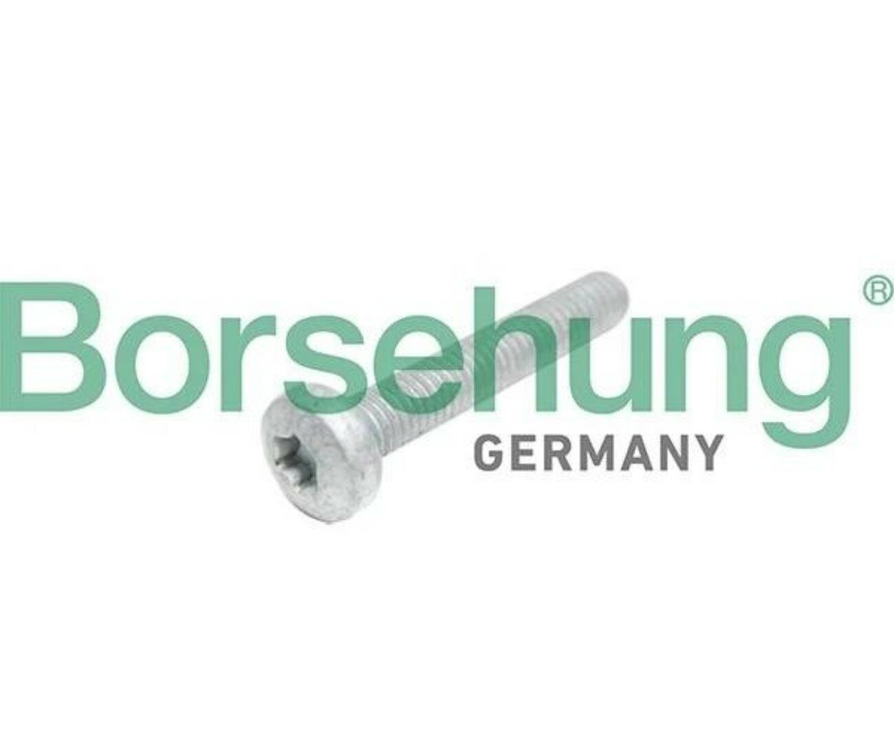 Болт крепежный Borsehung B10645 M6, с плоской головкой, Skoda, Seat, VW, Audi