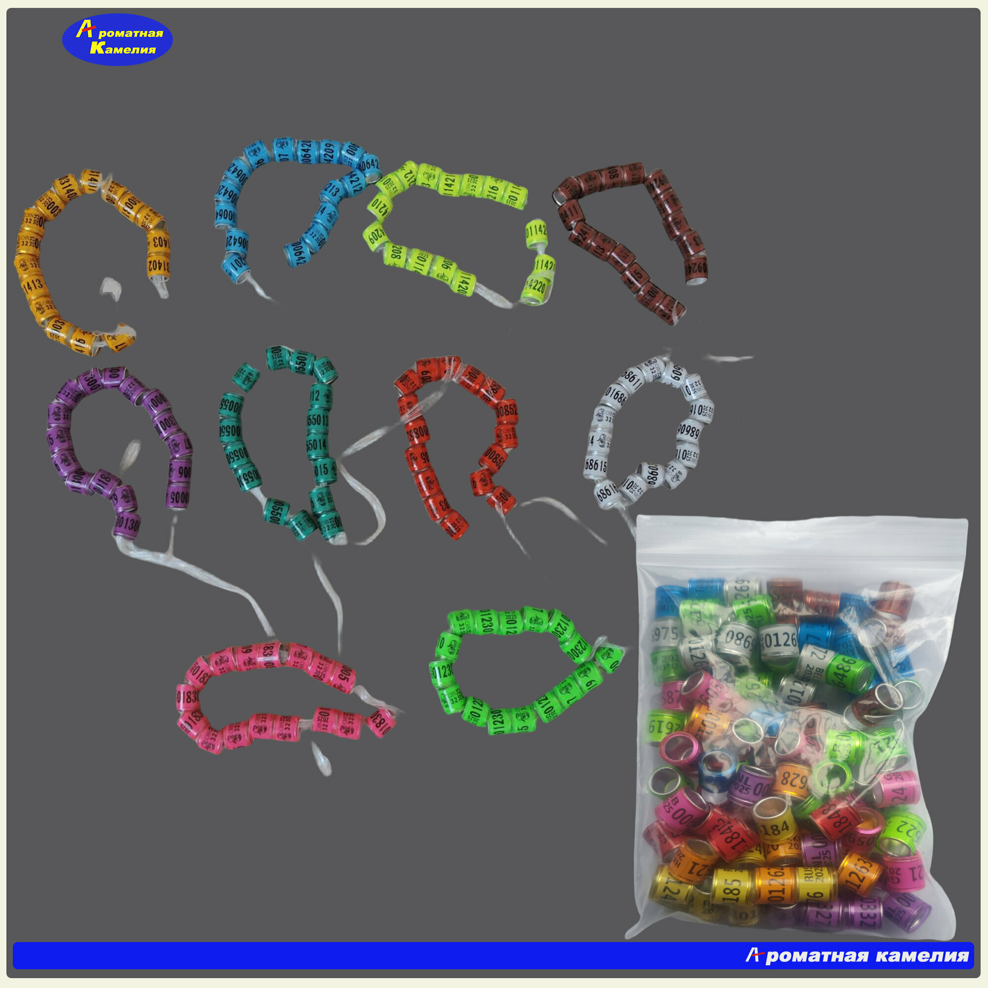 Кольцо для птицы