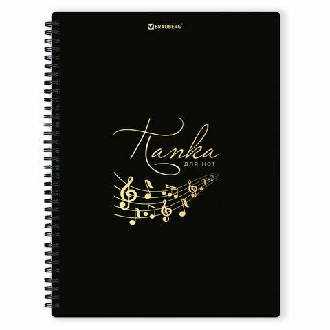 3 шт. Папка-тетрадь для нот А4, 20 вкладышей на 40 страниц, на гребне, пластик, черная, BRAUBERG, 404643
