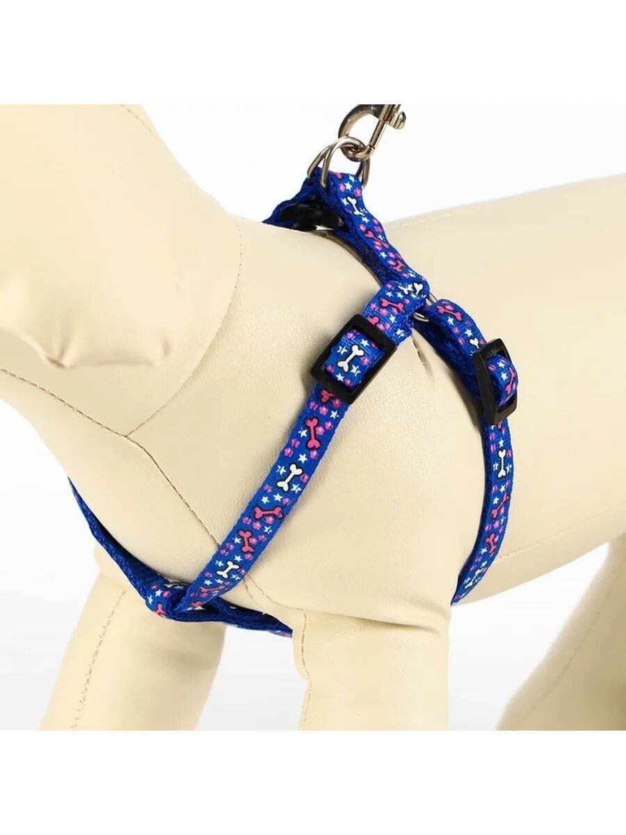 Стильный комплект для прогулок с собакой