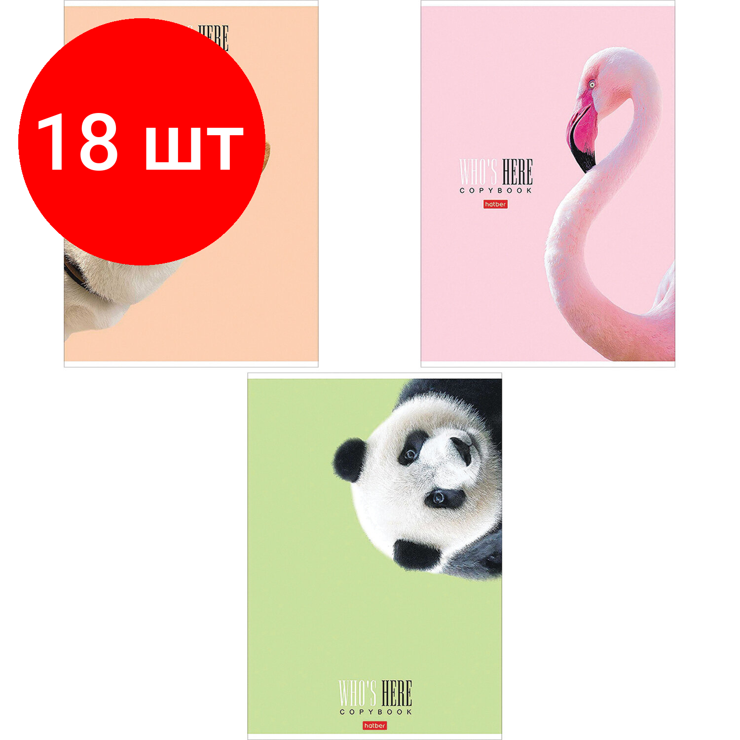 Комплект 18 шт, Тетрадь А4 96 л. HATBER скоба, клетка, матовая ламинация, "Кто здесь?" (4 вида), 96Т4лВ1