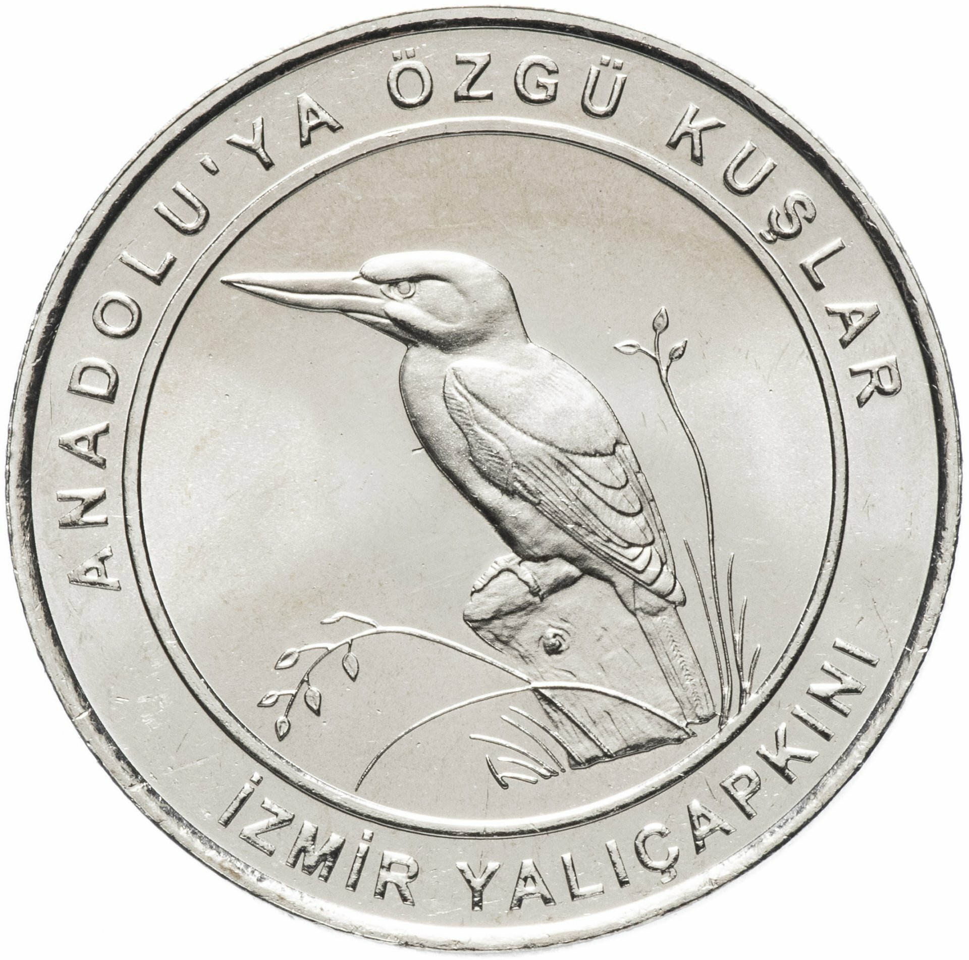 Турция 1 куруш, 2018 "Красноклювая альциона" Серия "Птицы Анатолии", Медь, в сохранности UNC