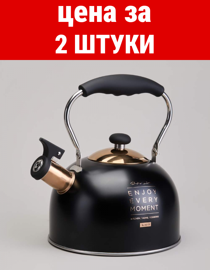 Комплект 2 шт, Чайник 2.5л нерж со свистком, индукция, 914-162