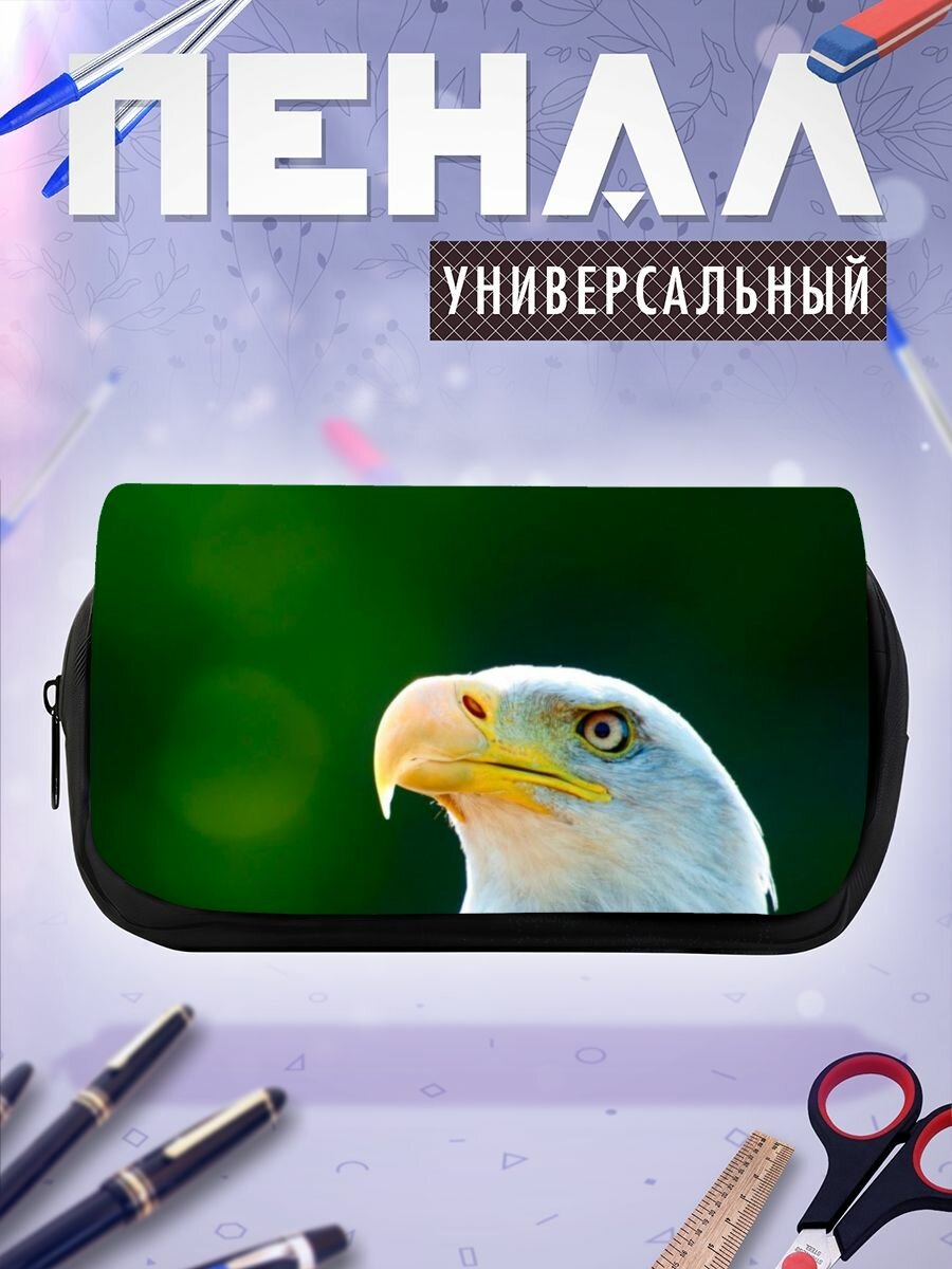 Школьный пенал Орел белоголовый Орлан