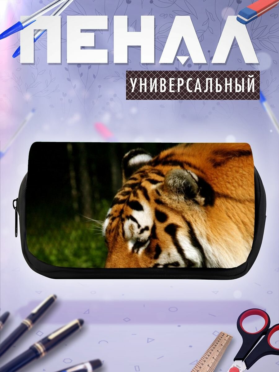 Школьный пенал тигр большая кошка