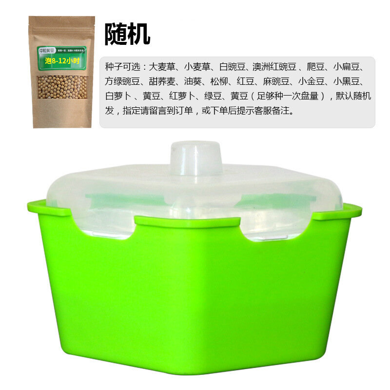 Гидропонные рассады чеснока, лук-шалот, ростки фасоли, поддон для посадки, зеленые ростки, поддон для рассады, беспочвенное выращивание, семена чеснока