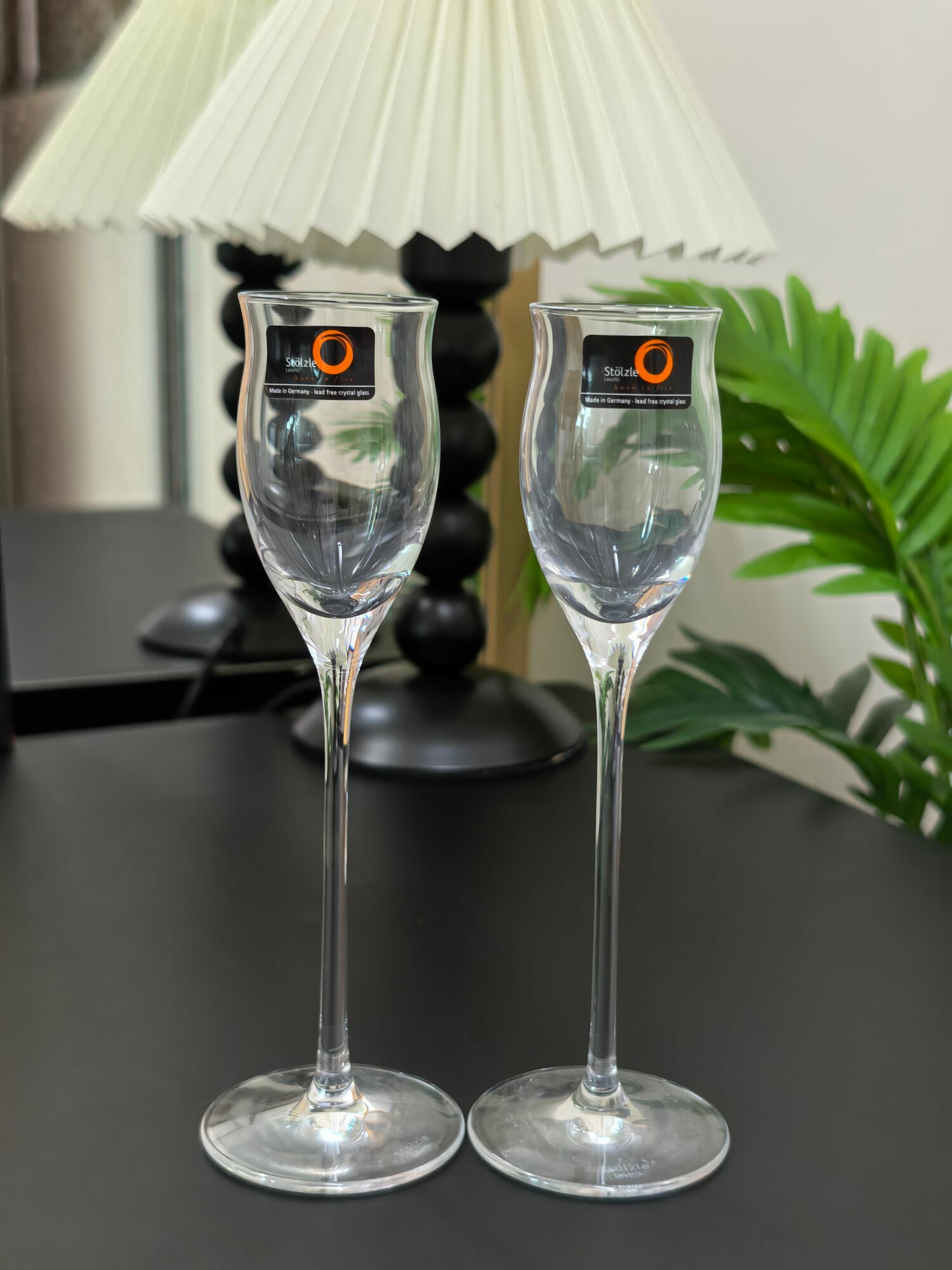 Набор хрустальных рюмок Stolzle Quatrophil, для граппы, 65 мл, 2 шт.