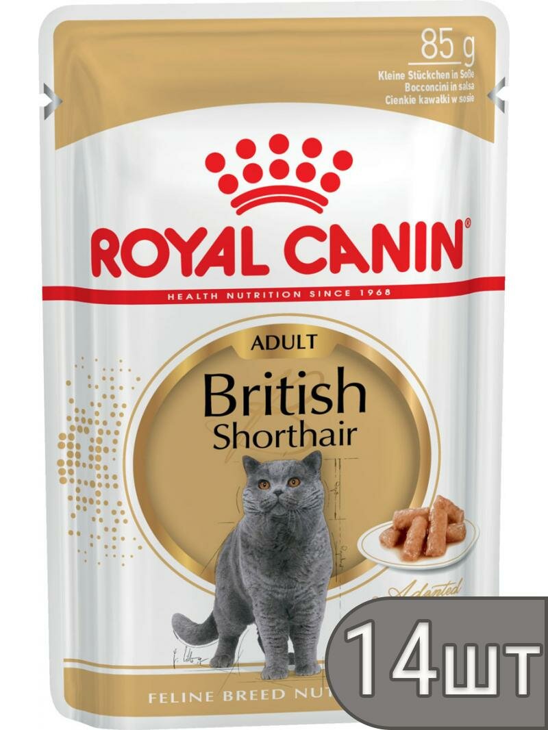Royal Canin Набор 14 шт Паучи Кусочки в соусе для Британской Короткошерстной кошки старше 12 месяцев British Shorthair, 85г 1.19 кг