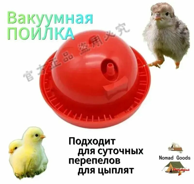 Вакуумная автоматическая колокольная поилка для перепелят и суточнй птицы