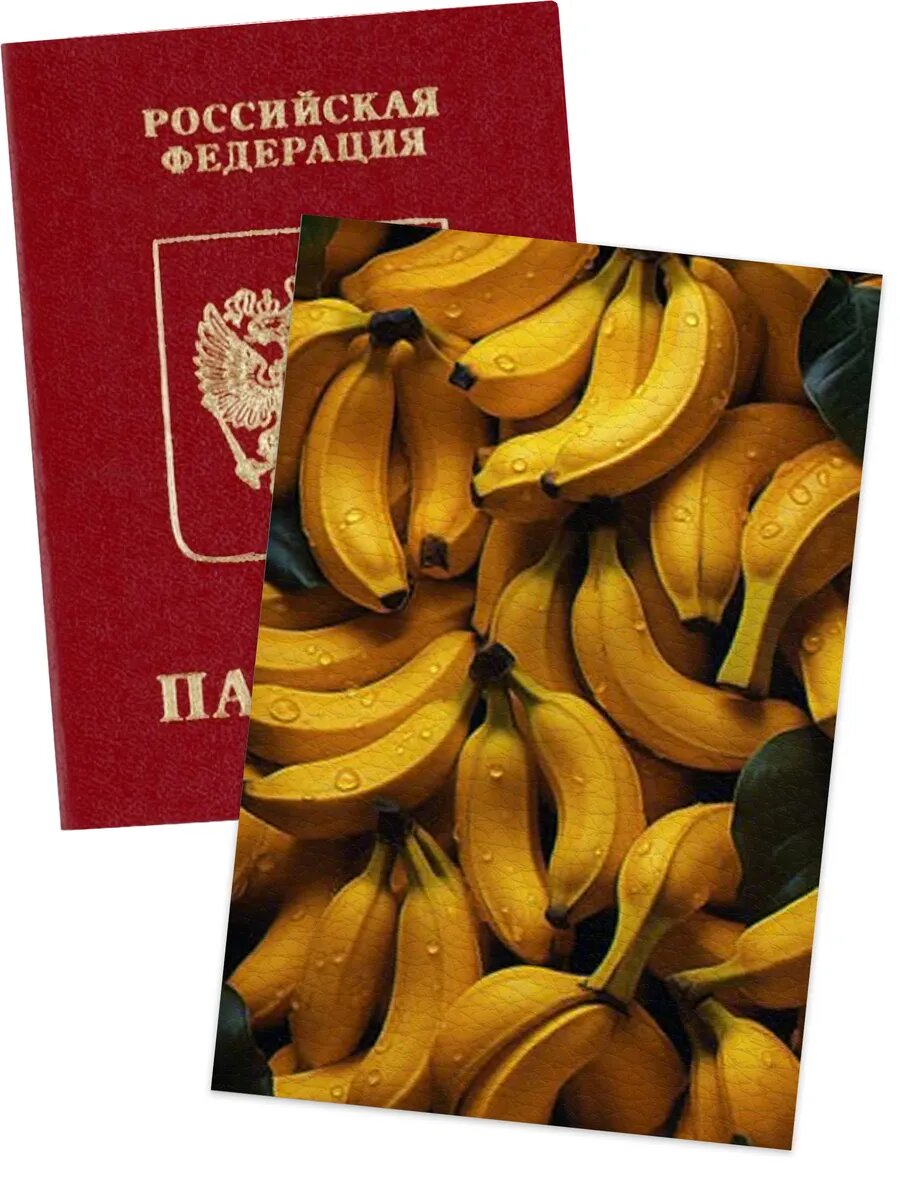 Обложка для паспорта