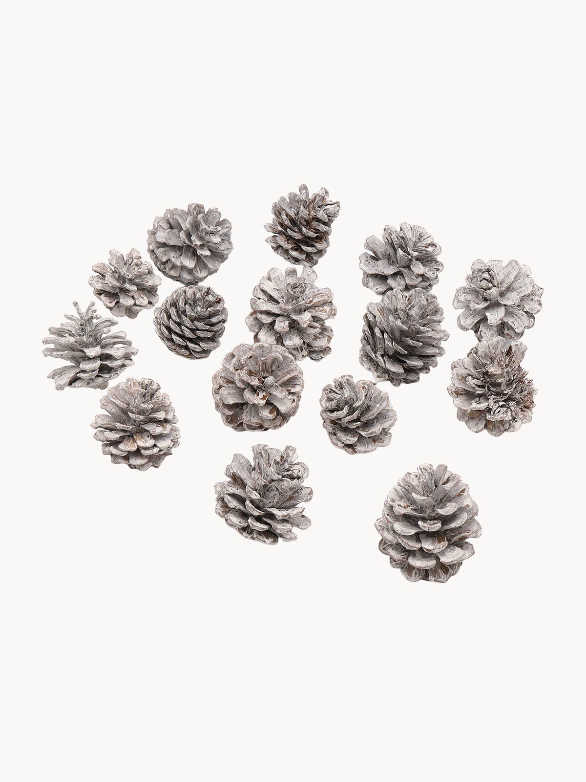 Шишки сосновые для поделок, декора и творчества, 100 г, Айрис (A-I)