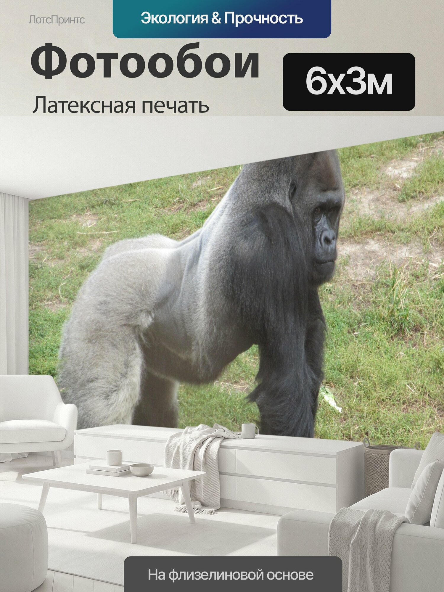 Фотообои моющиеся ударопрочные "Сильвербэк Gorilla позирует Горилла создает в нем корпус в зоопарке. серебряная горилла обезьяна дикая природа." 600x300 см. латексная печать