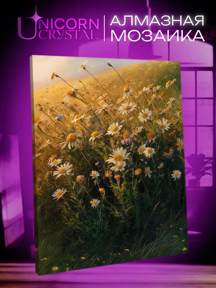 Алмазная мозаика Полевые цветы