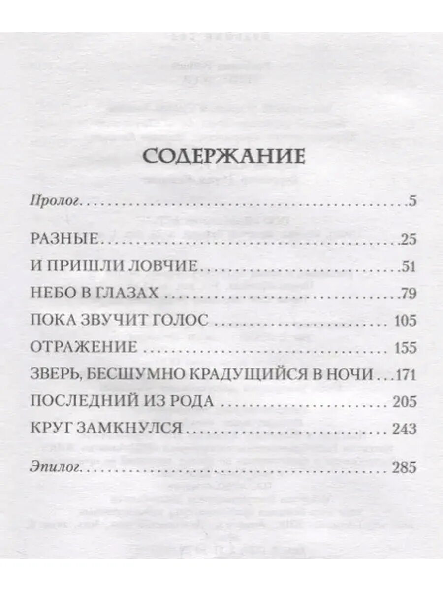 Тени леса — фото 1