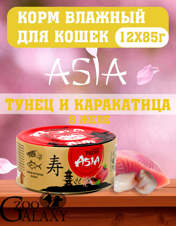 PRIME Корм ASIA для кошек тунец и каракатица в желе 12х85г