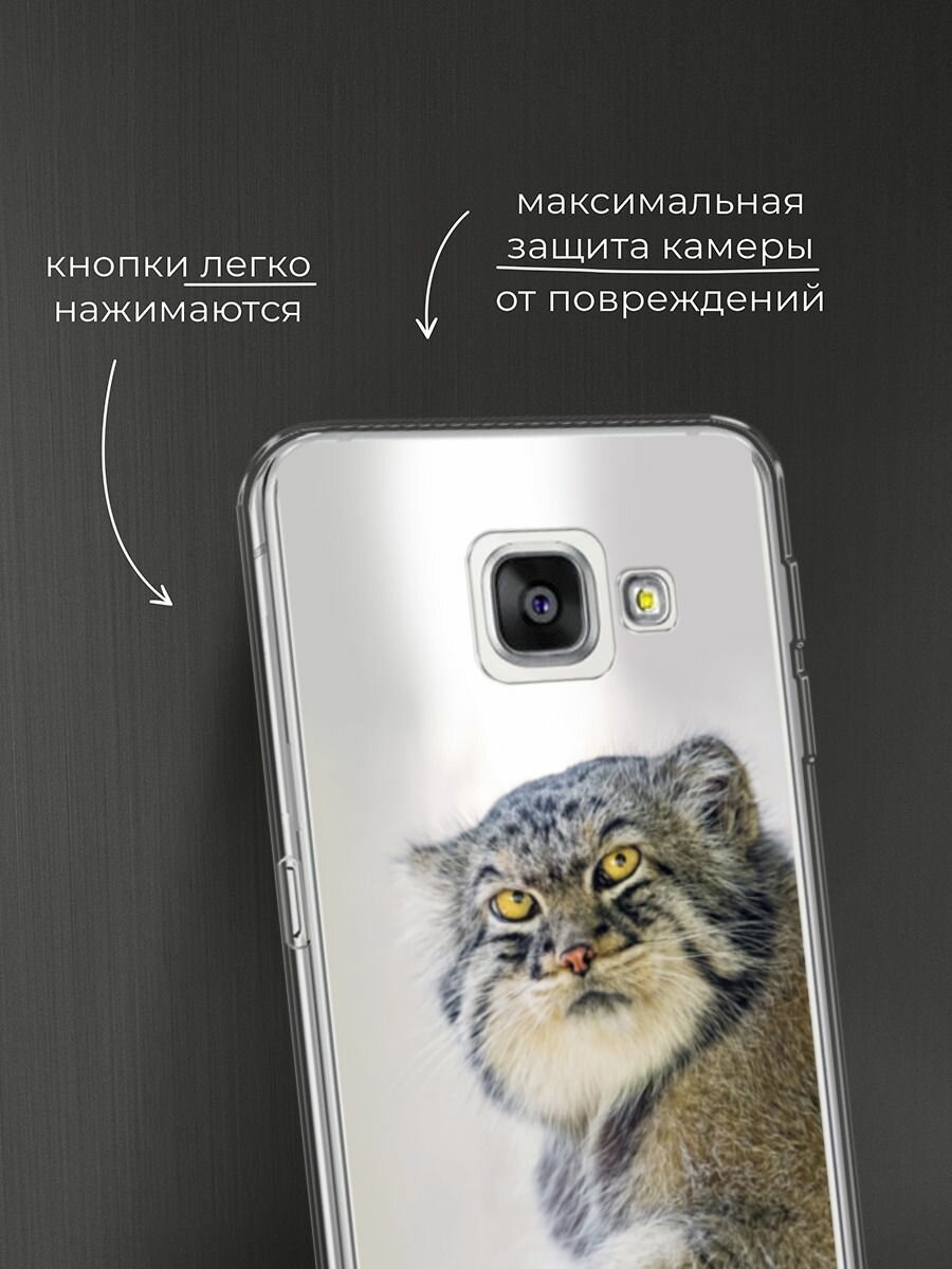 Чехол на Samsung Galaxy A3 2016 / Самсунг Галакси А3 2016 с принтом "Кот манул 1" — фото 1