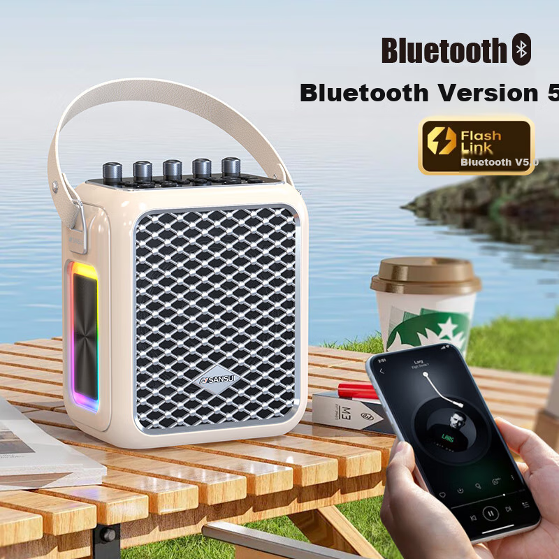 SANSUI Q9 Наружный караоке-динамик с двумя микрофонами Высокая громкость Портативный беспроводной Bluetooth-колонка для