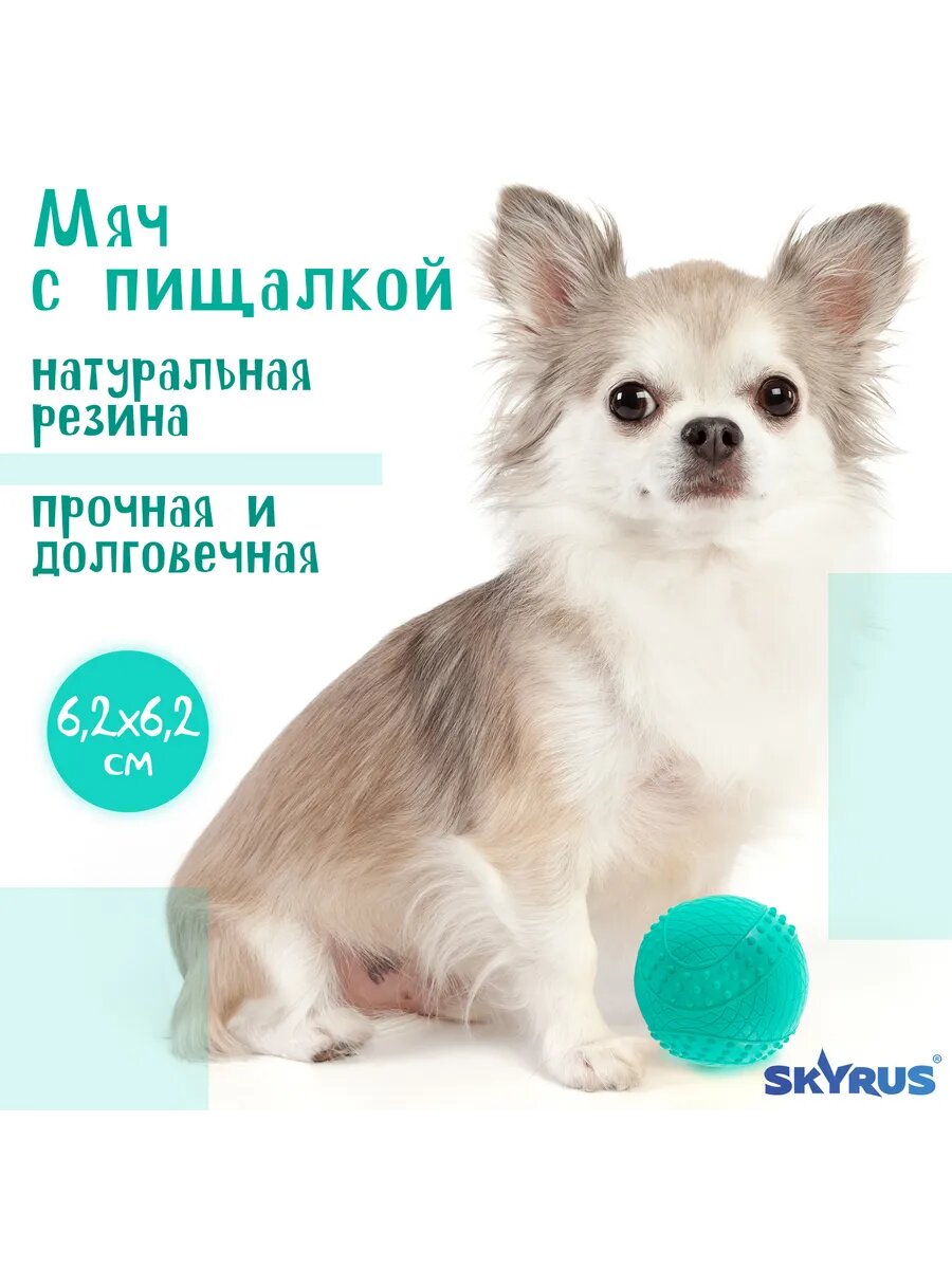 Мяч для собак с пищалкой 6.2см