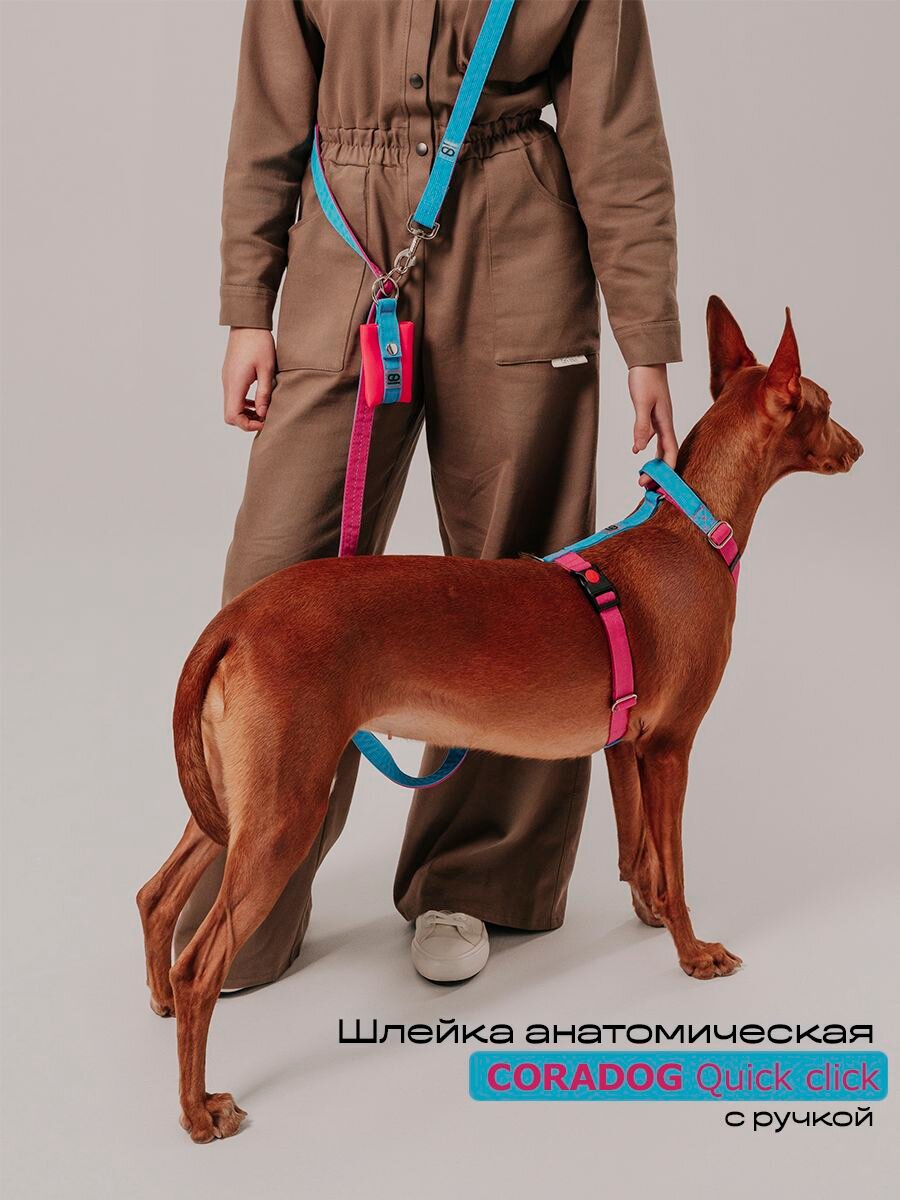 Шлейка с ручкой прогулочная анатомическая для средних и крупных пород собак, CORADOG Quick click, размер L, цвет голубой, ярко розовый