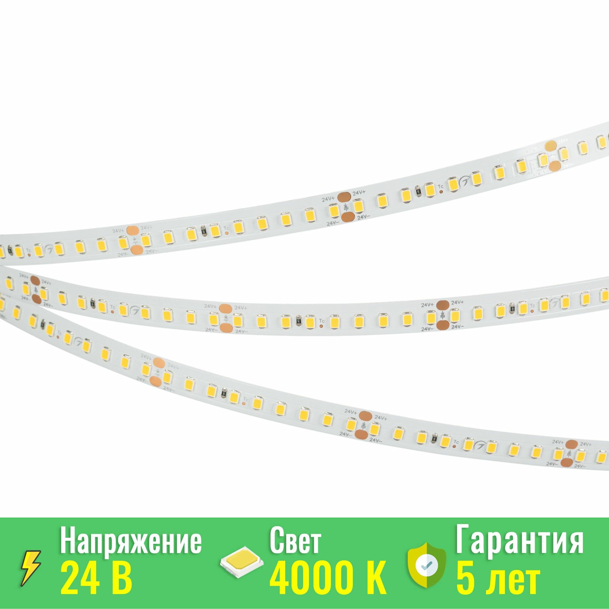 Лента RT-A144-10mm 24V Day4000 (7.7 W/m, IP20, 2835, 5m) (Arlight, высок. эфф.200 лм/Вт) 036208