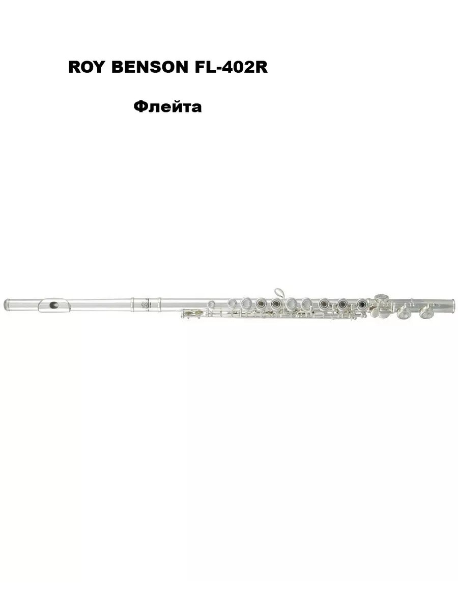 ROY BENSON FL-402R - Флейта