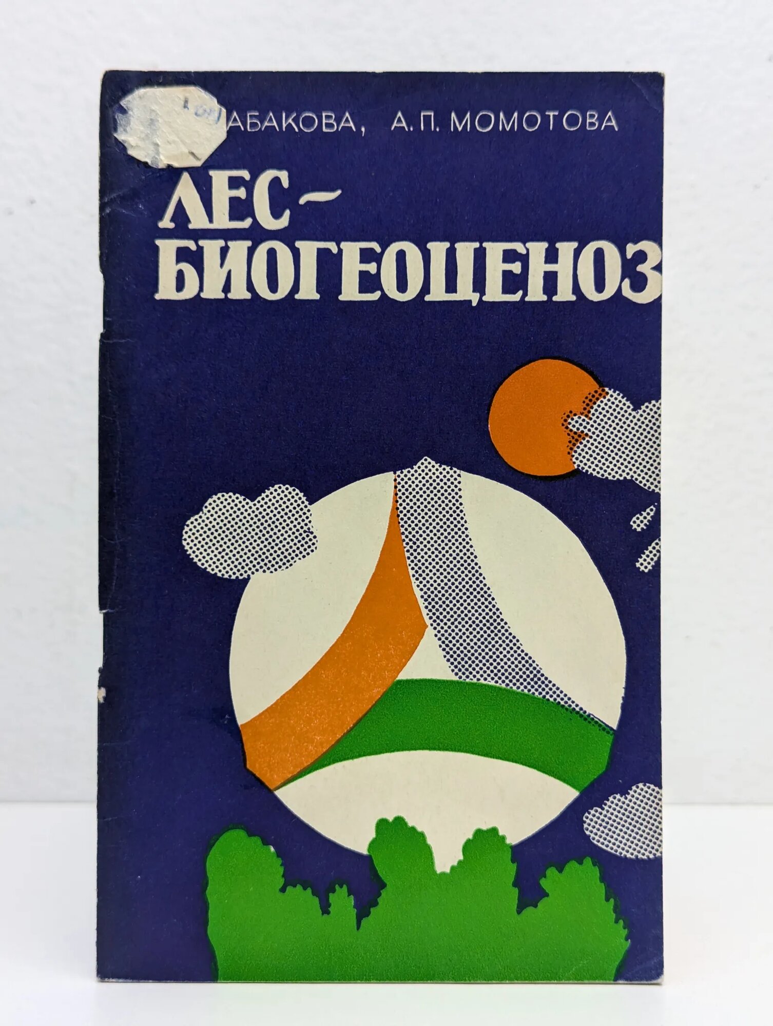 Лес - биогеоценоз Бабакова Татьяна Анатольевна, Момотова А. П. 1981