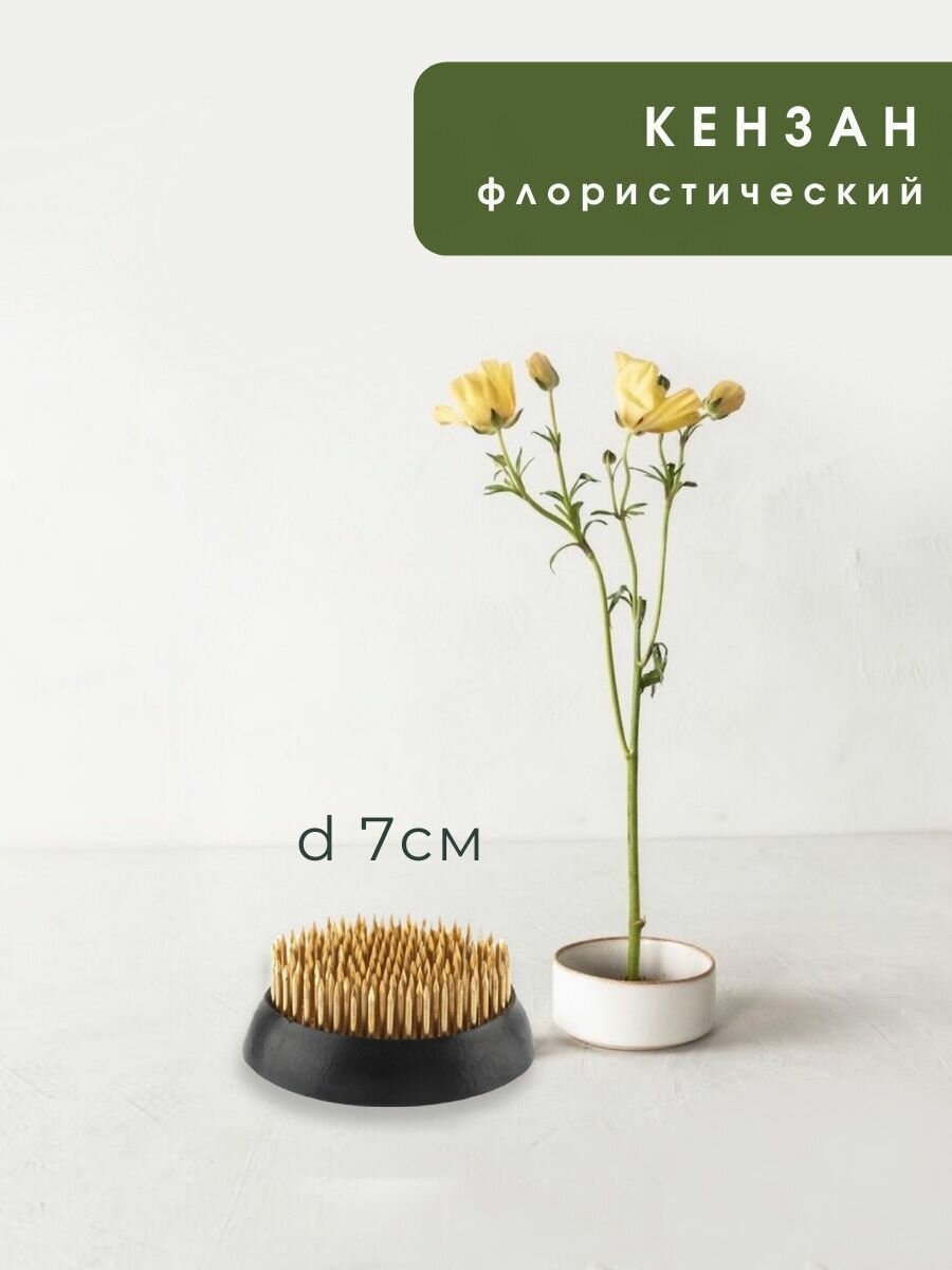 Кензан флористический