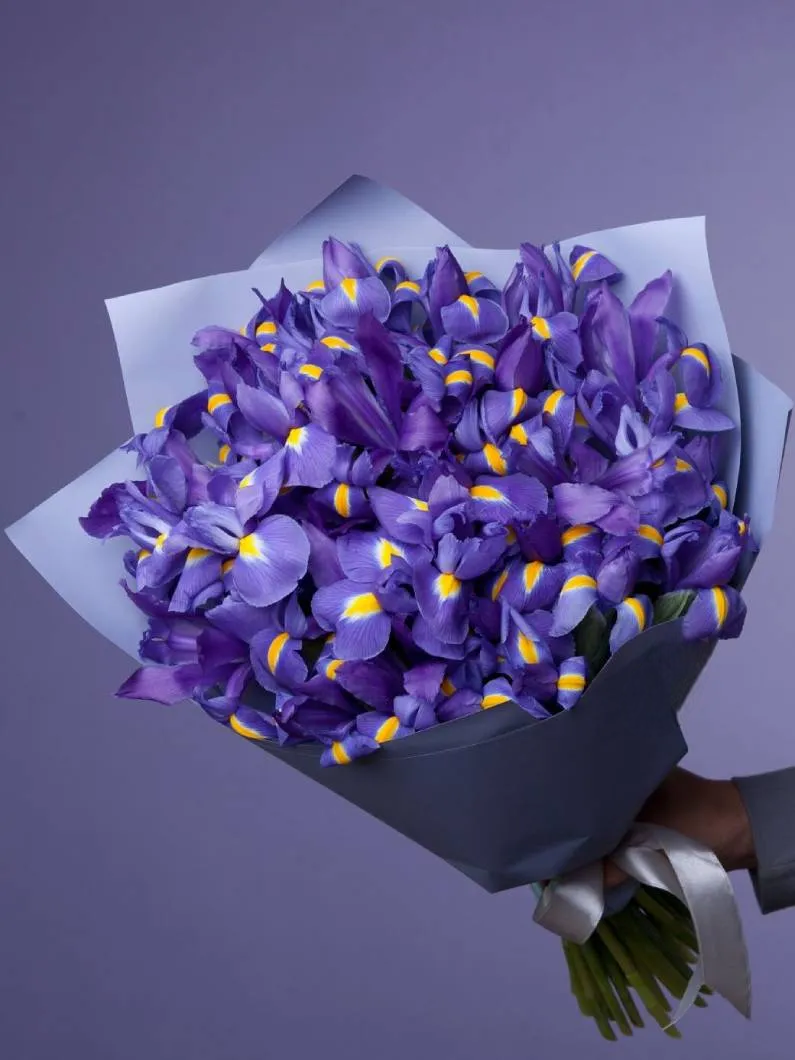 Ирисы фиолетовые 51 шт, красивый букет цветов, премиум букет, цветы.