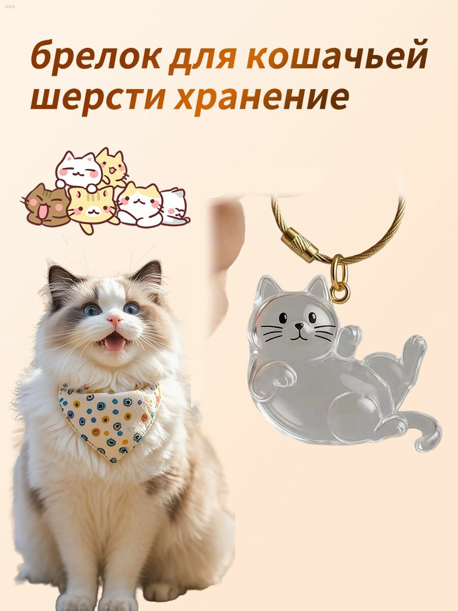 Прозрачная капсула для хранения кошачьей шерсти, пластиковый контейнер-брелок, коллекционный аксессуар для любителей кошек