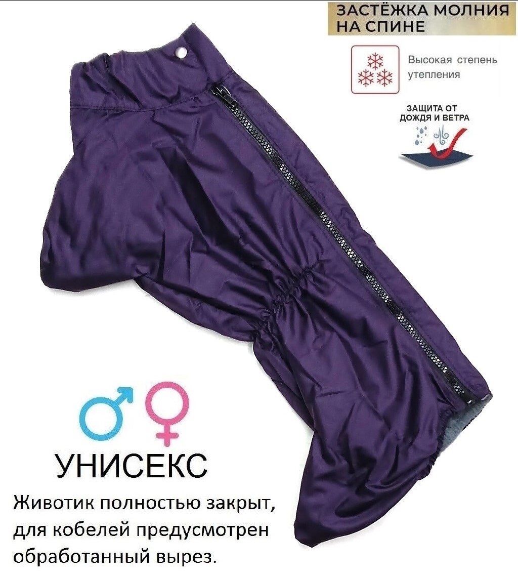 "Шпиц" комбинезон зимний 26см (26см )