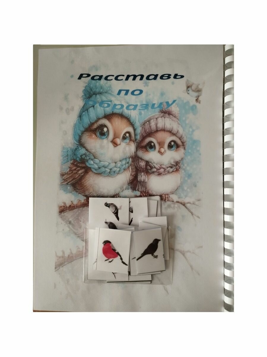 Лэпбук "Птицы" — фото 1