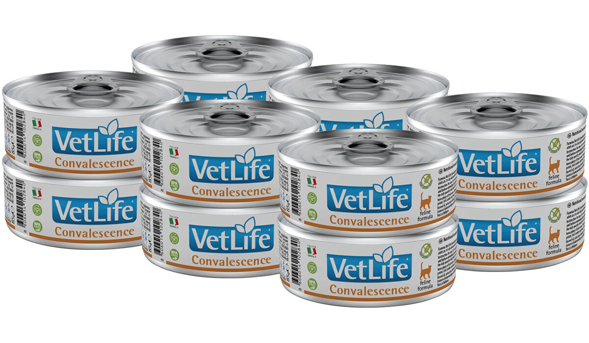 Корм влажный Farmina Vet Life Feline Convalescence для взрослых кошек в период выздоровления, 85 г х 12 шт