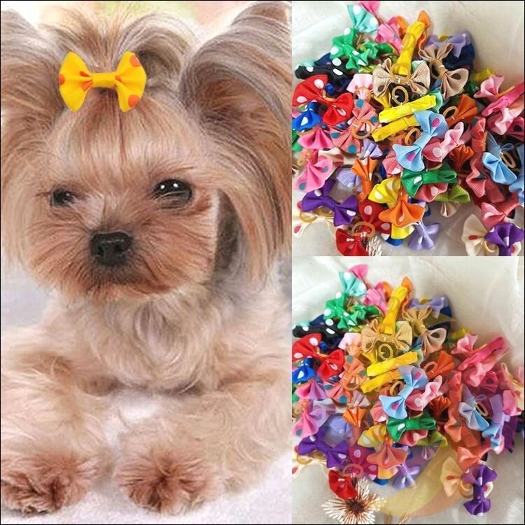 Украшение из резинок "Бант Йорки" для маленьких собак (набор из 50 штук)