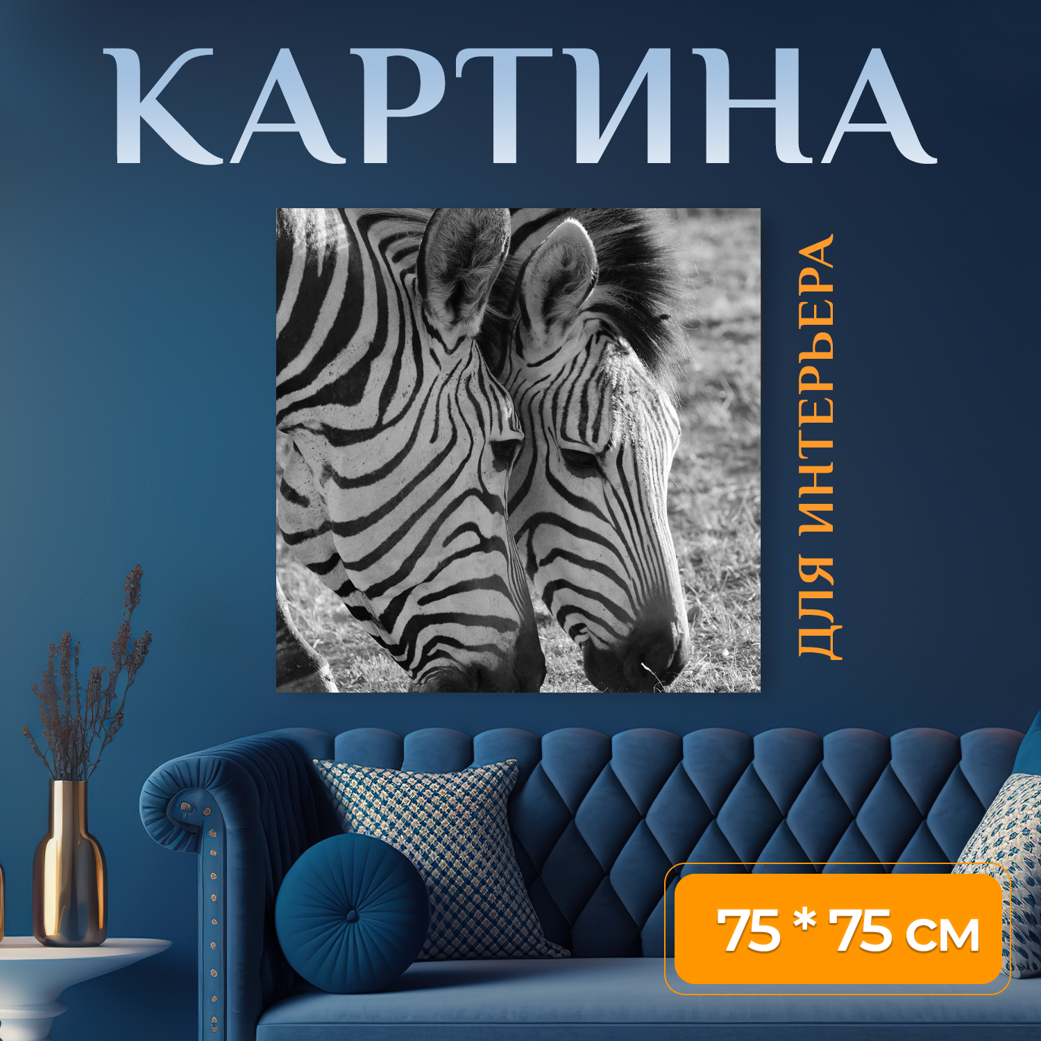 Картина на холсте "Зебра, зебры, гартмана" на подрамнике 75х75 см. для интерьера