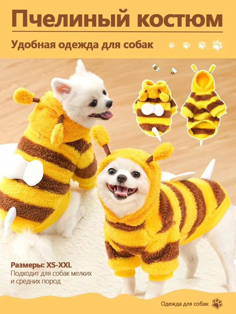 Тяговая пчела с бархатным костюмом, кошки и собаки, осенняя и зимняя одежда.(L)