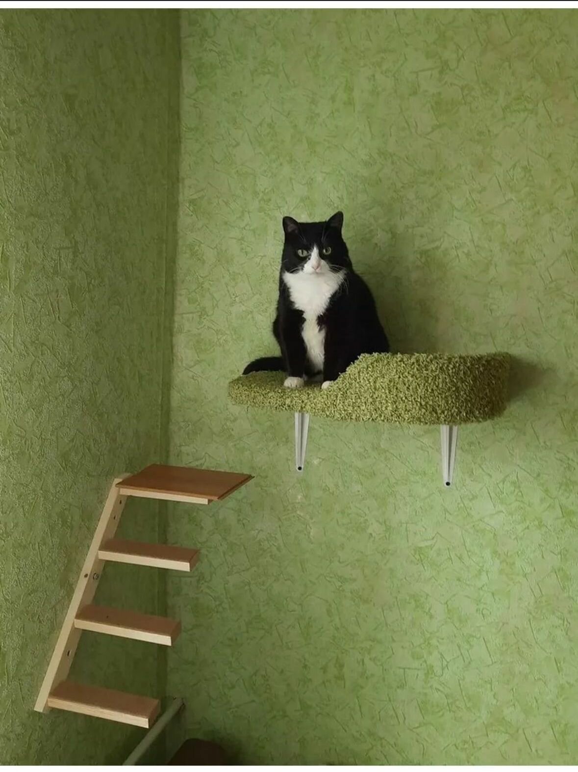 Лежанка для кошки "Овальная", настенная, с бортом, оливковая