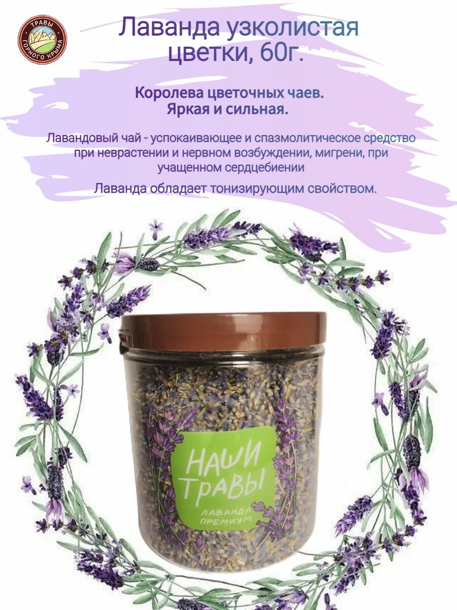 Лаванда узколистая цветки