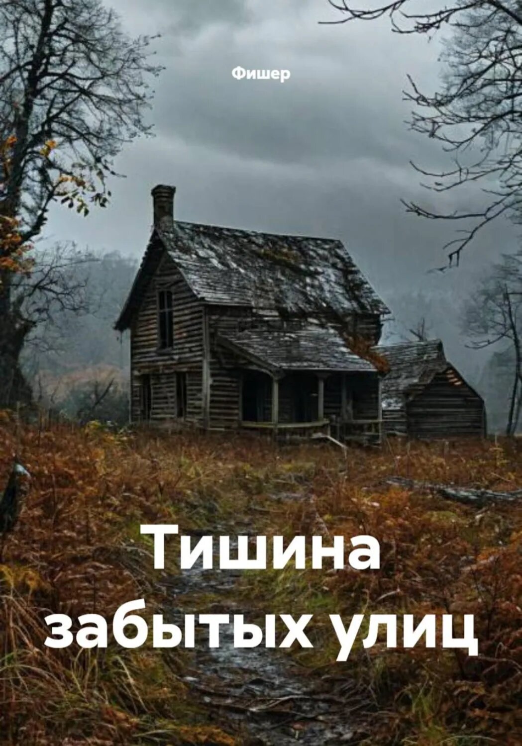 Тишина забытых улиц [Цифровая книга]