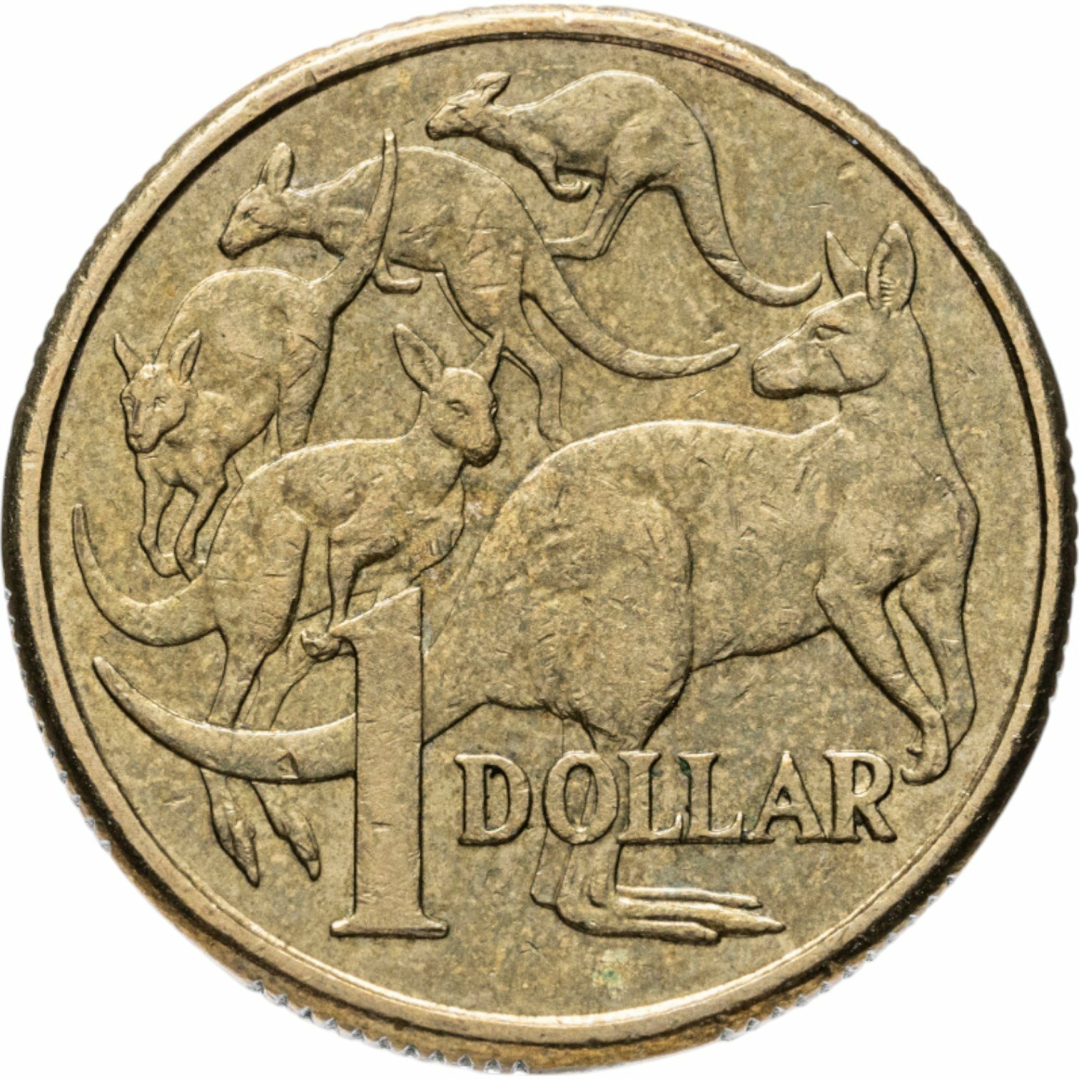 Австралия 1 доллар dollar 2016, Бронза, в сохранности VF-XF