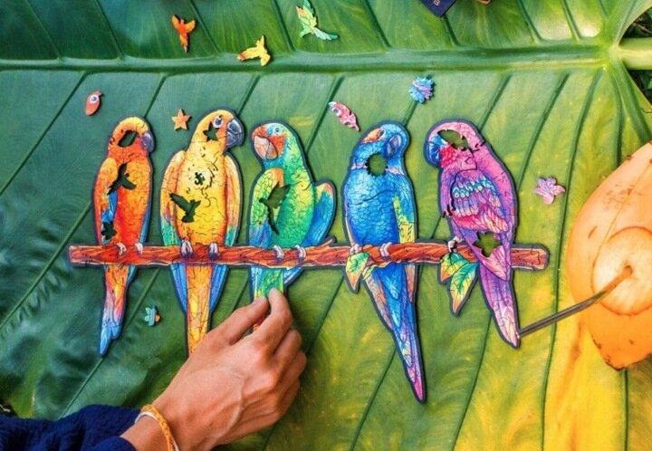 Деревянный пазл для детей и взрослых Unidragon, яркие попугаи, 620 элементов 4640157450042